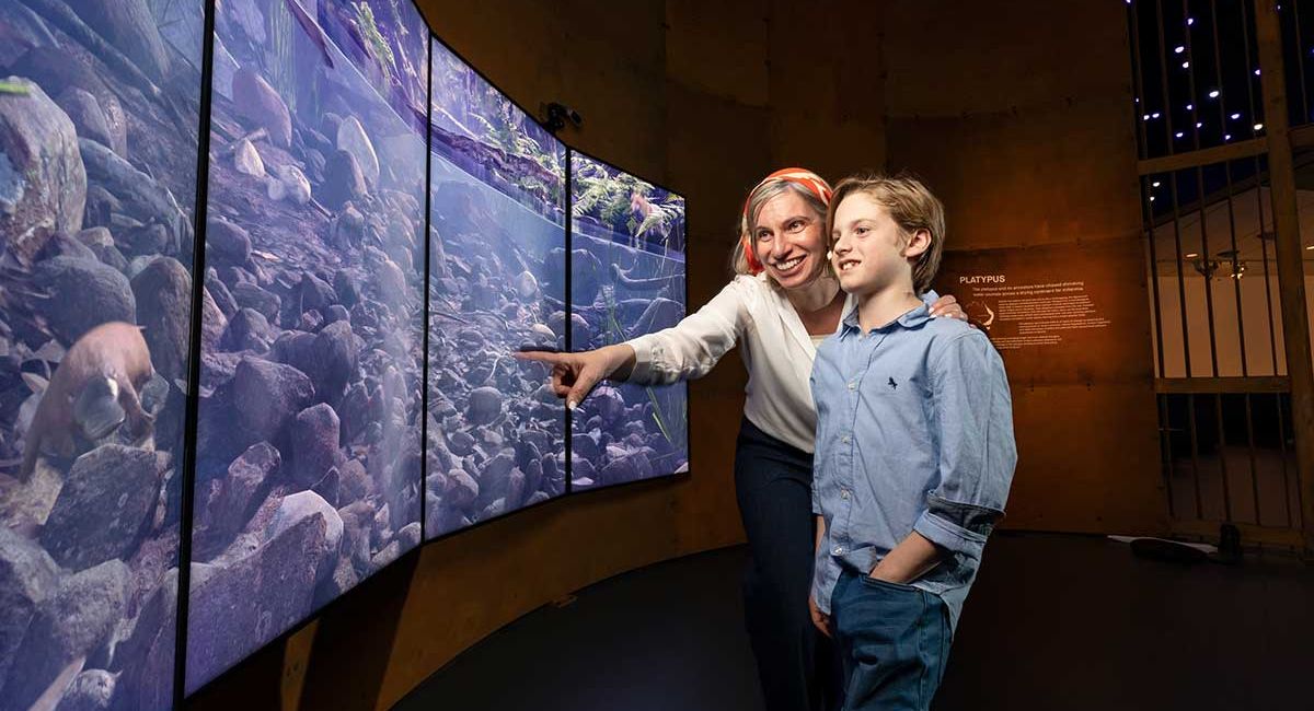 Bold and imaginatively redesigned National Museum of Australia ready to ...