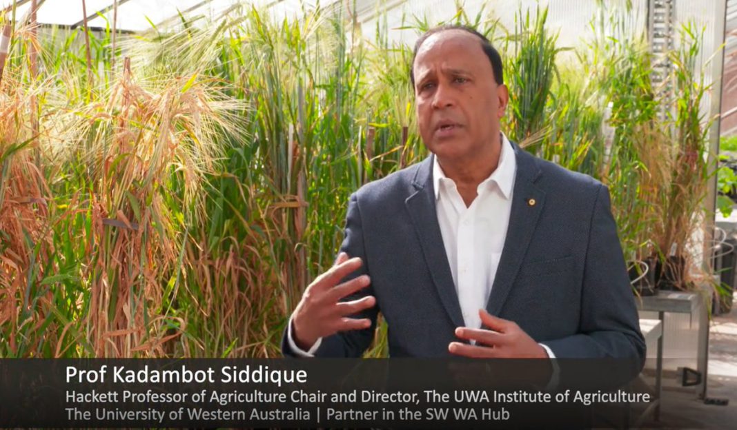 Indian-Australian professor named Scientist of the Year at Premier's ...