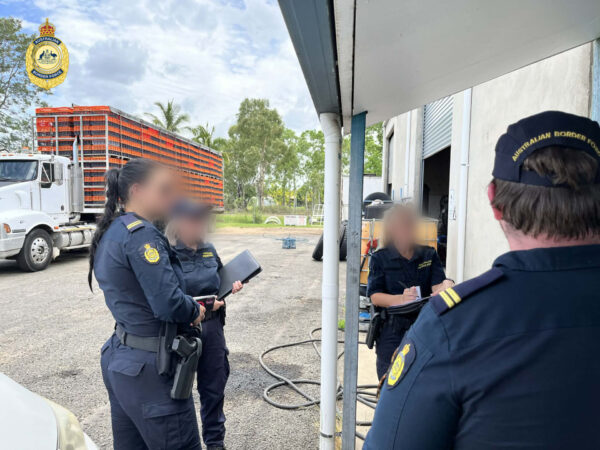 Suspected scam migration agent among four arrested in Far North ...